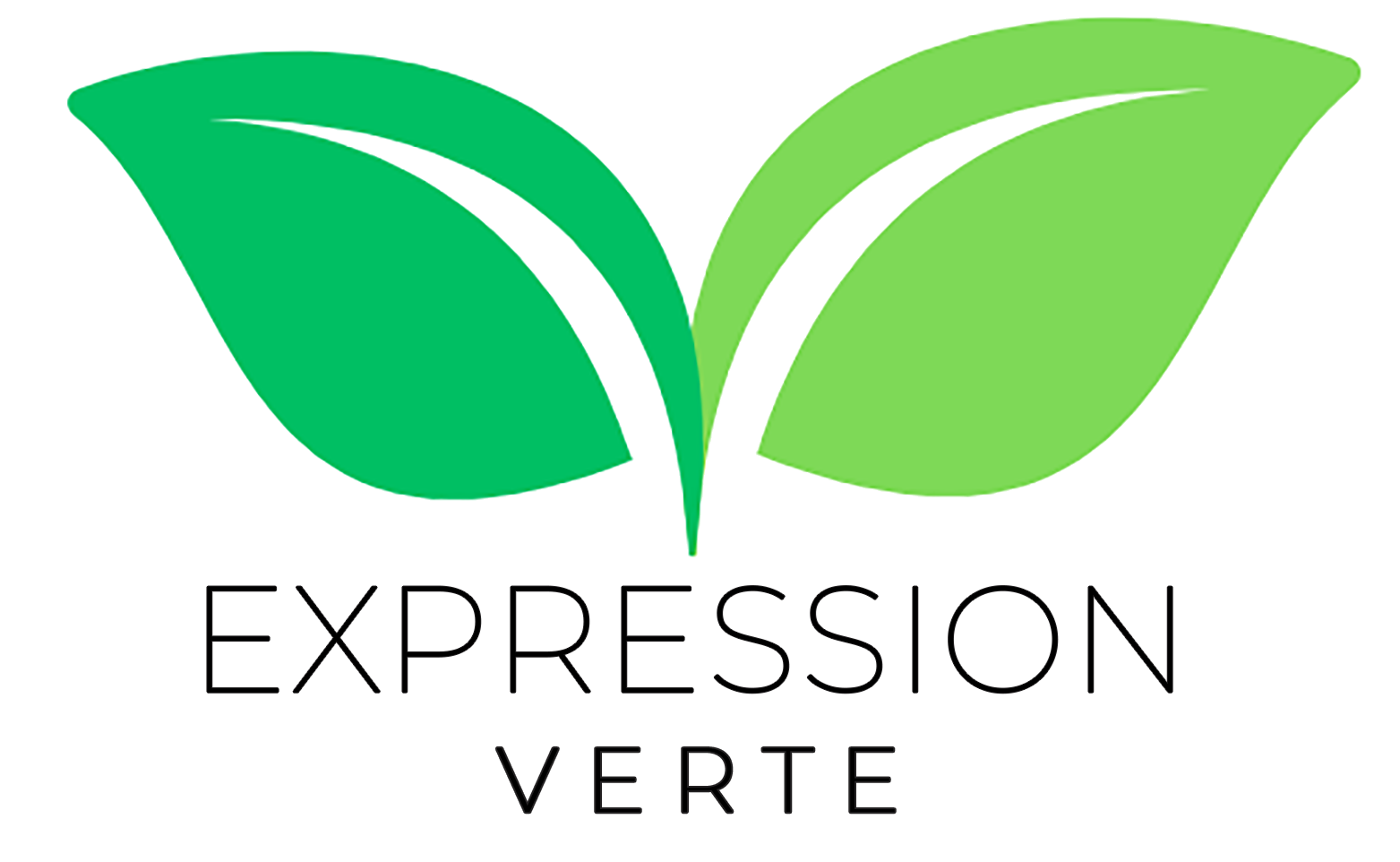 Project Types – Expression Verte